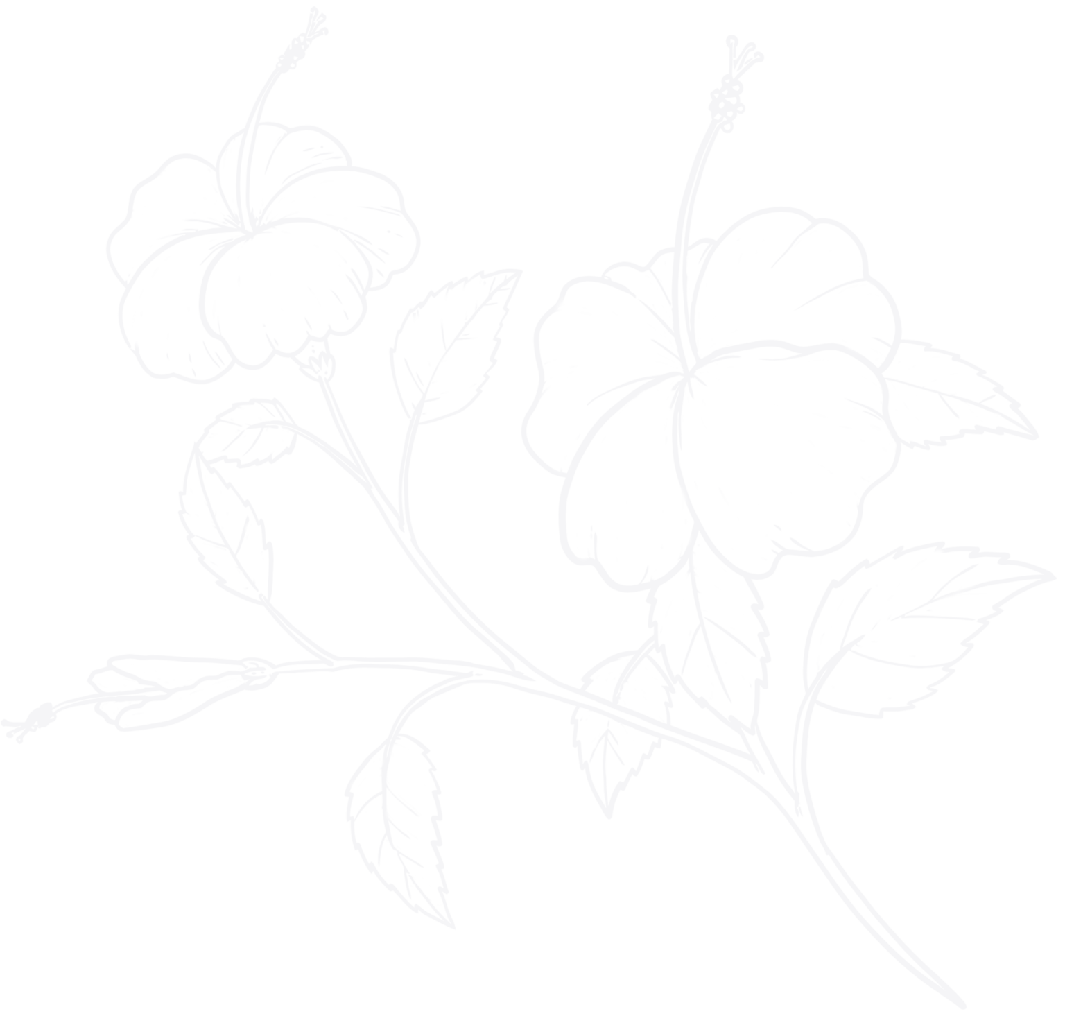 Namaste Video Contest 2025 – wailana.com